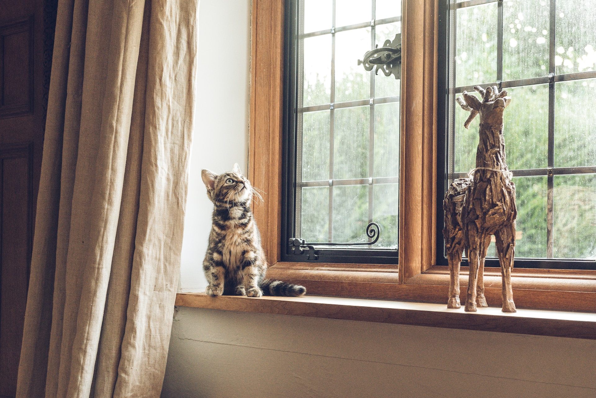 The Benefits of Upgrading to Single Hung Windows for Your Home ...