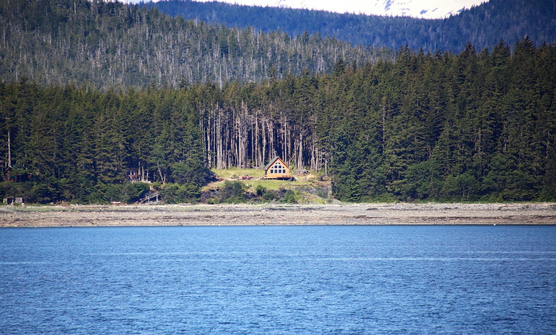 Sustainable Living: How Homesteading Reduces Your Ecological Footprint ...